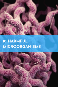 10 Harmful microorganisms